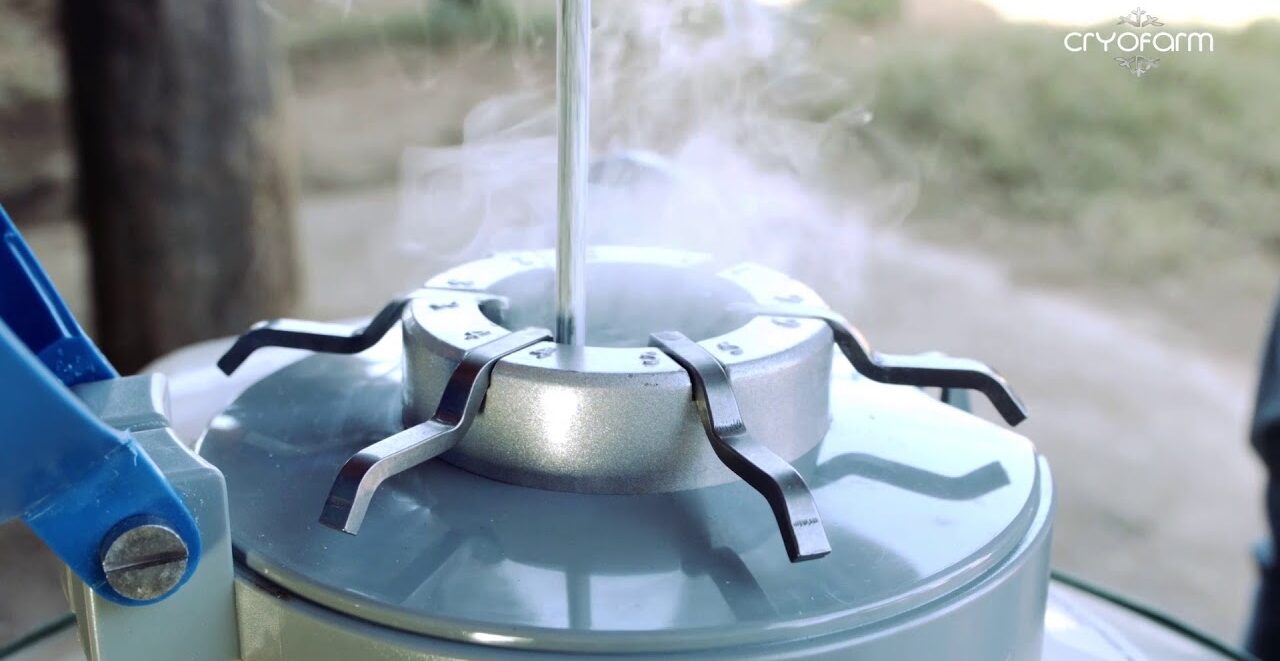 Contenitori per azoto liquido, attrezzature veterinarie, materiale ...